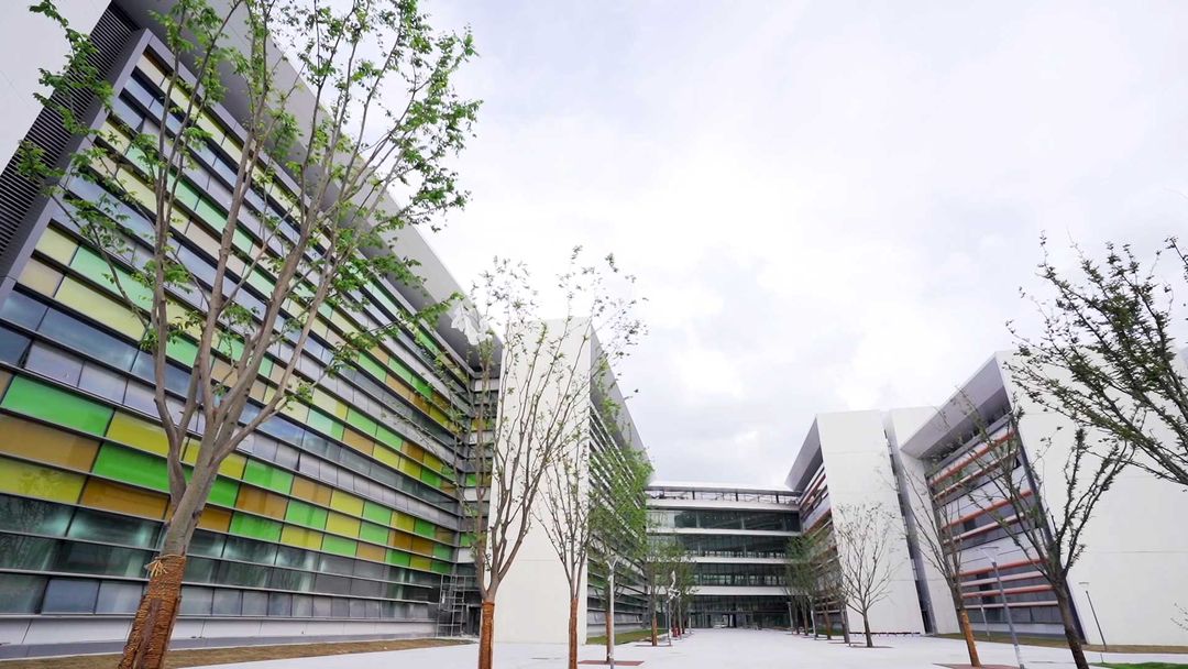 School of Life Sciences